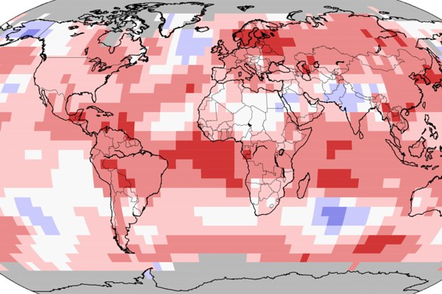 The World Just Experienced Its Hottest January On Record Hong Kong News the-world-just-experienced-its-hottest-january-on-record-hong-kong-news