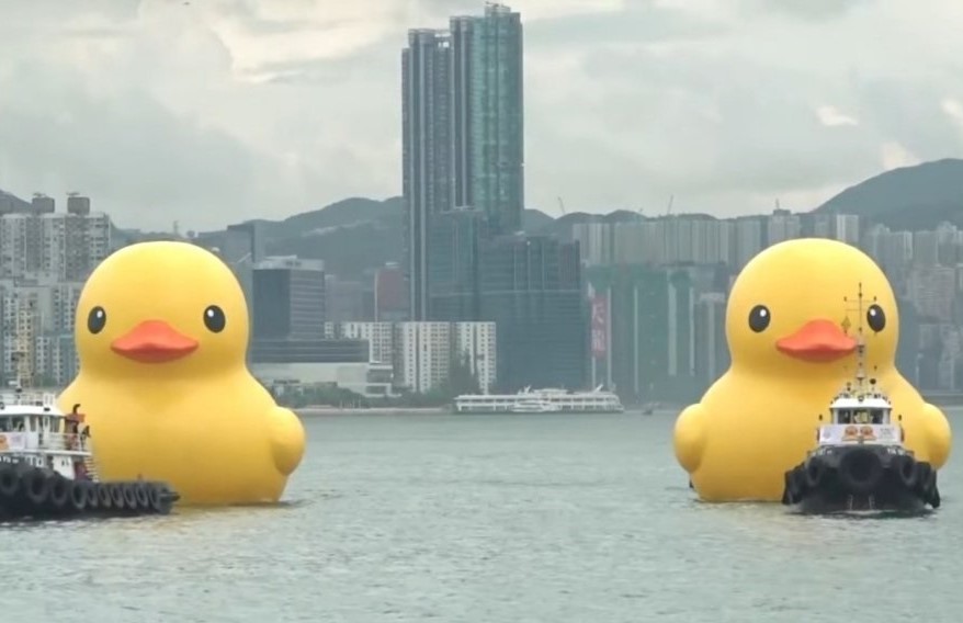Giant Rubber Ducks Installed in Hong Kong's Victoria Harbour as Part of ...